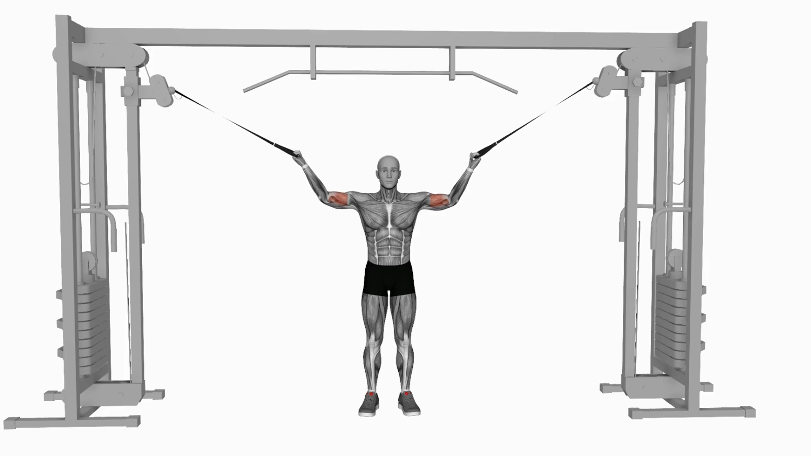 Master The Cable Overhead Curl A Beginners Guide To Sculpting Your Biceps 1000 Free