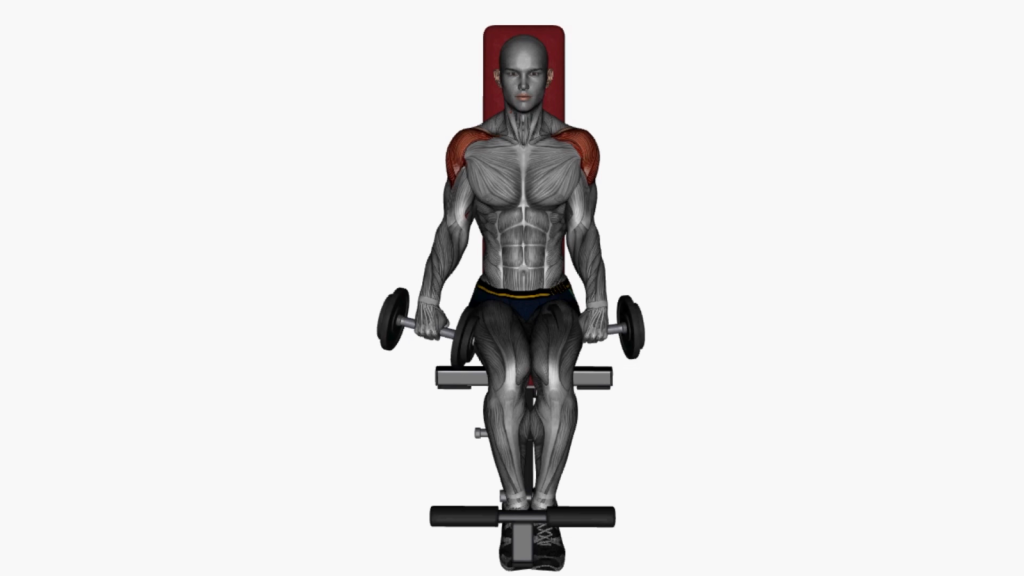 Mastering The Pike Push Up Your Ultimate Guide To Building Shoulder